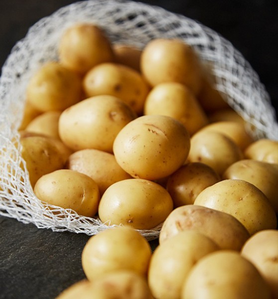 Papines 500 gr - Verduras - Select Market